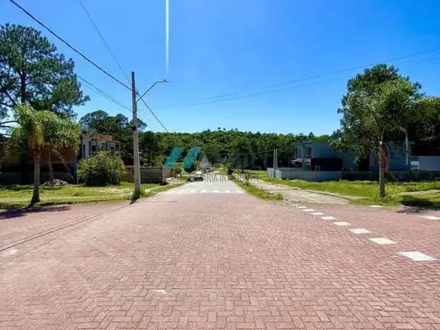 Terreno / Lote para Venda em Florianópolis/SC São João do Rio Vermelho