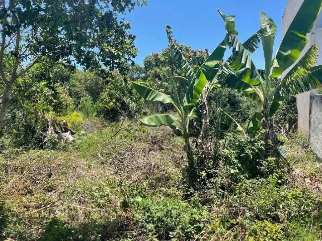 Terreno / Lote para Venda em Florianópolis/SC São João do Rio Vermelho