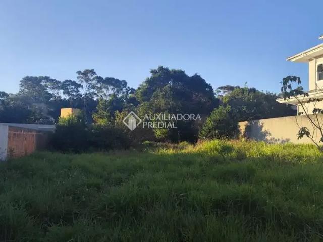 Terreno / Lote para Venda em Florianópolis/SC São João do Rio Vermelho