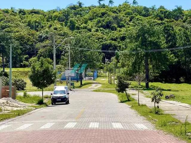 Terreno / Lote para Venda em Florianópolis/SC São João do Rio Vermelho