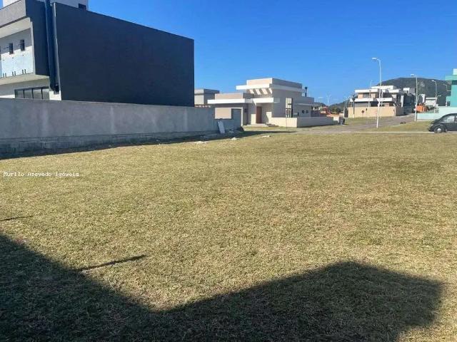Terreno / Lote para Venda em Florianópolis/SC São João do Rio Vermelho