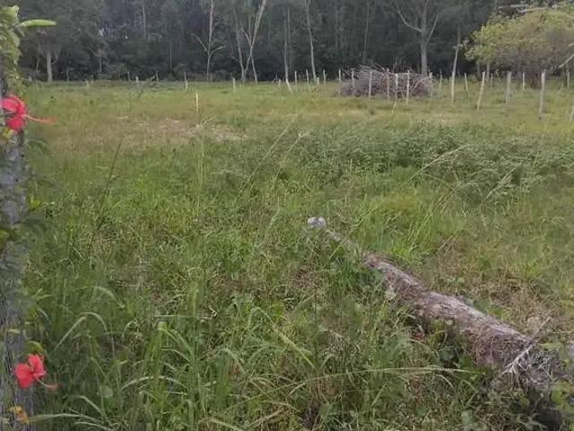 Terreno / Lote para Venda em Florianópolis/SC São João do Rio Vermelho