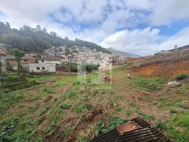Terreno / Lote para Venda em Florianópolis/SC Saco dos Limões