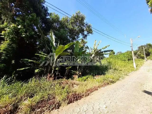 Terreno / Lote para Venda em Florianópolis/SC Saco Grande