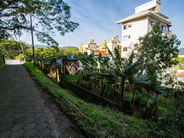 Terreno / Lote para Venda em Florianópolis/SC Saco Grande