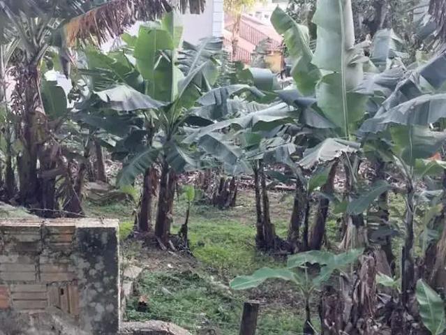 Terreno / Lote para Venda em Florianópolis/SC Saco Grande