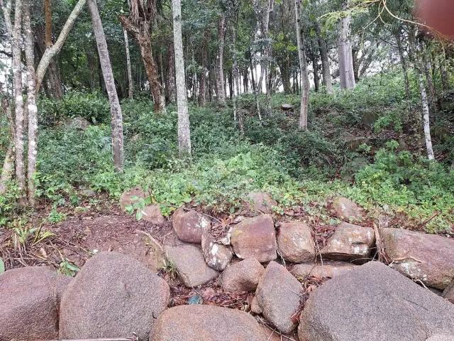 Terreno / Lote para Venda em Florianópolis/SC Sambaqui
