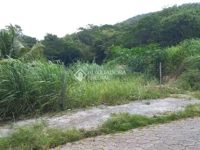 Terreno / Lote para Venda em Florianópolis/SC Sambaqui
