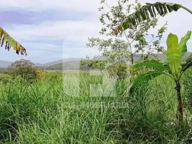 Terreno / Lote para Venda em Florianópolis/SC Sambaqui