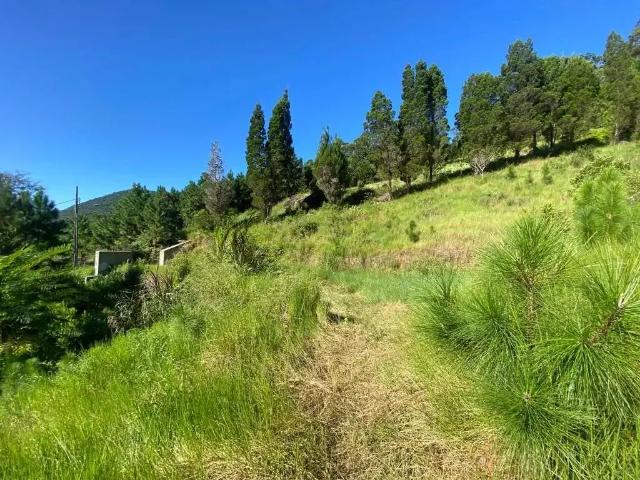 Terreno / Lote para Venda em Florianópolis/SC Santo Antônio de Lisboa