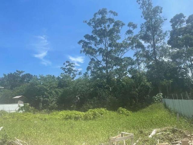 Terreno / Lote para Venda em Florianópolis/SC Santo Antônio de Lisboa