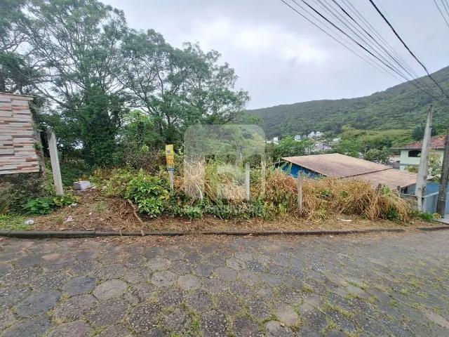 Terreno / Lote para Venda em Florianópolis/SC Santo Antônio de Lisboa
