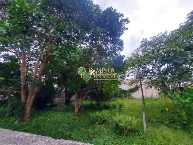 Terreno / Lote para Venda em Florianópolis/SC Santa Mônica