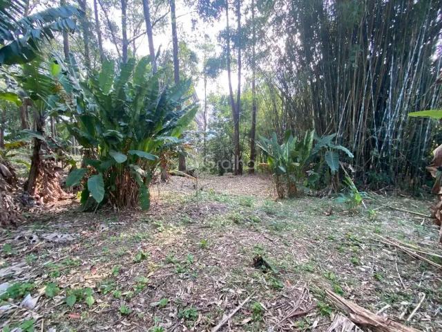 Terreno / Lote para Venda em Florianópolis/SC Pantanal