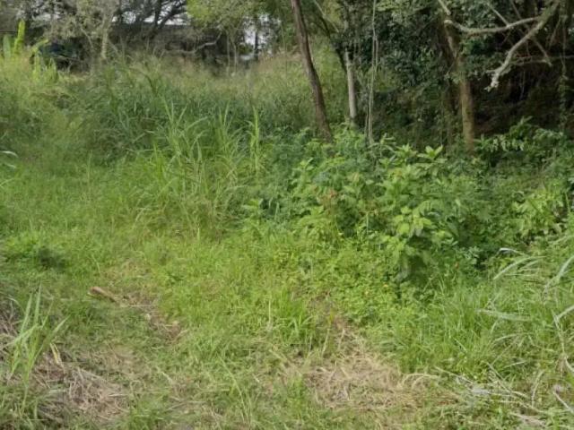 Terreno / Lote para Venda em Florianópolis/SC Pantanal