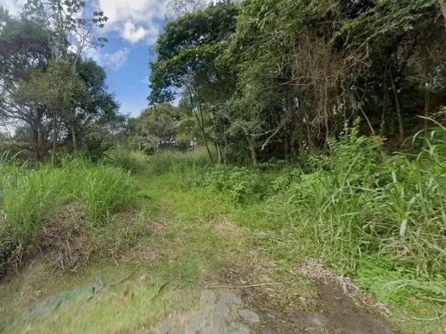 Terreno / Lote para Venda em Florianópolis/SC Pantanal