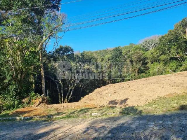 Terreno / Lote para Venda em Florianópolis/SC Pantanal