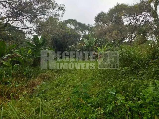 Terreno / Lote para Venda em Florianópolis/SC Pantanal