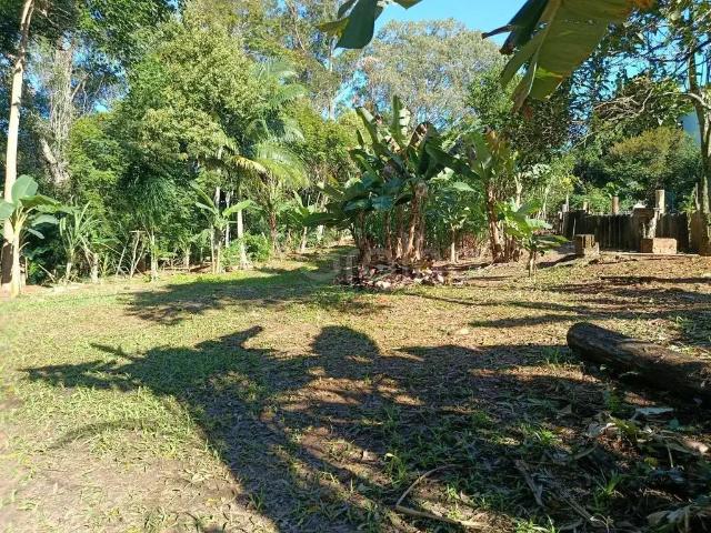 Terreno / Lote para Venda em Florianópolis/SC Pantanal