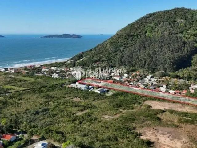 Terreno / Lote para Venda em Florianópolis/SC Pântano do Sul
