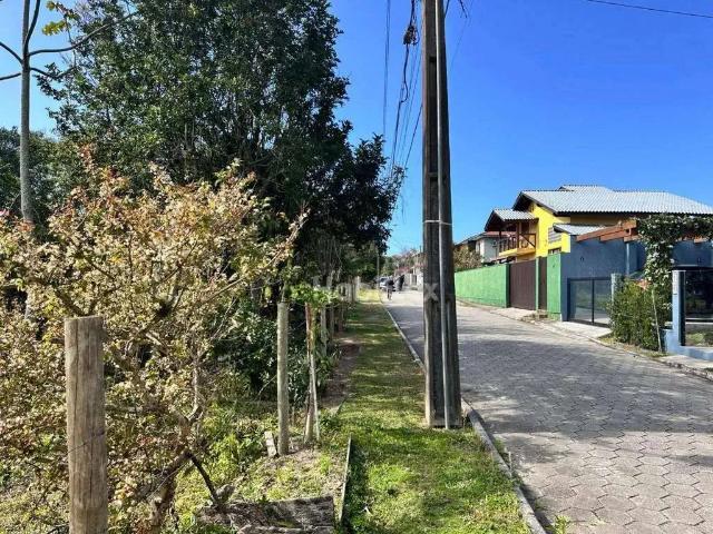 Terreno / Lote para Venda em Florianópolis/SC Pântano do Sul