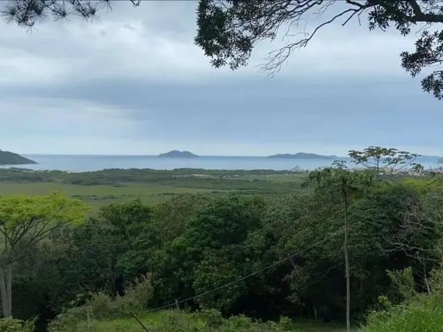 Terreno / Lote para Venda em Florianópolis/SC Pântano do Sul