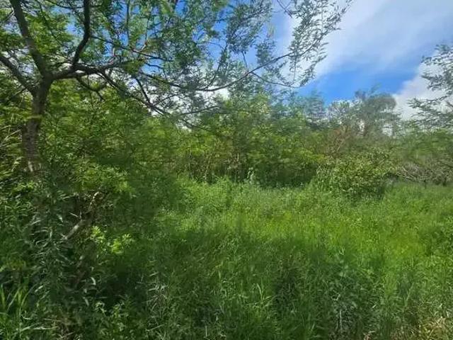Terreno / Lote para Venda em Florianópolis/SC Pântano do Sul