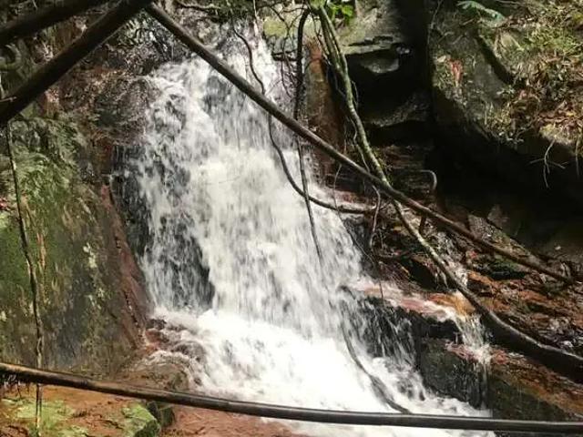 Terreno / Lote para Venda em Florianópolis/SC Pântano do Sul
