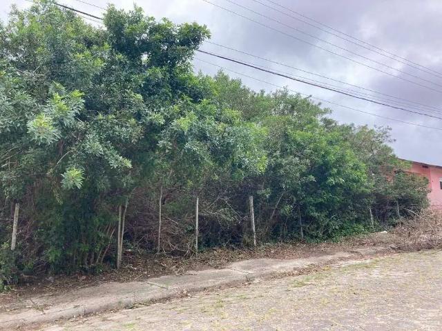 Terreno / Lote para Venda em Florianópolis/SC Pântano do Sul