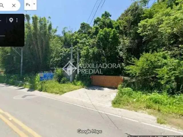 Terreno / Lote para Venda em Florianópolis/SC Pântano do Sul