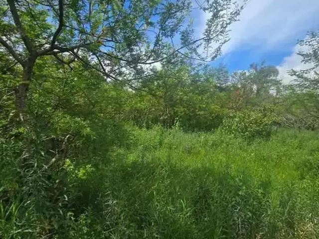 Terreno / Lote para Venda em Florianópolis/SC Pântano do Sul