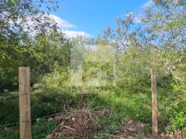 Terreno / Lote para Venda em Florianópolis/SC Pântano do Sul
