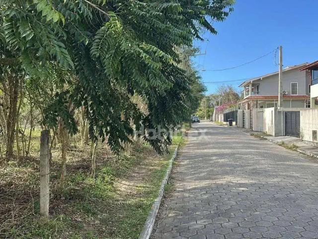 Terreno / Lote para Venda em Florianópolis/SC Pântano do Sul