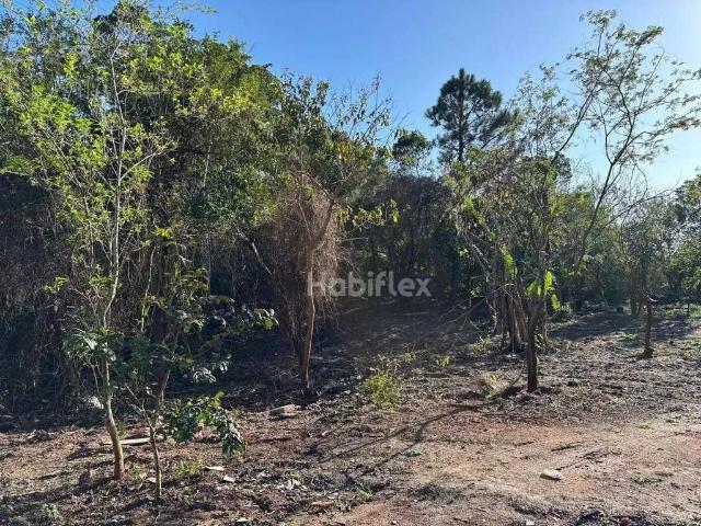 Terreno / Lote para Venda em Florianópolis/SC Pântano do Sul