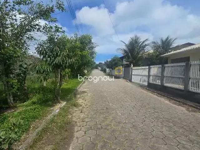 Terreno / Lote para Venda em Florianópolis/SC Pântano do Sul