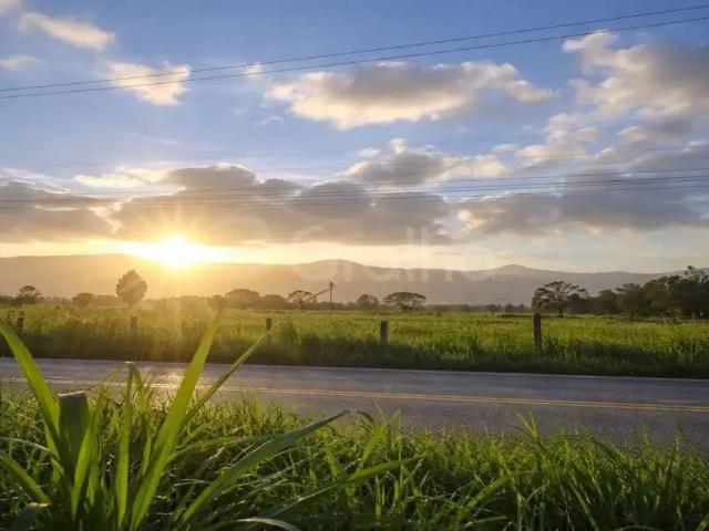 Terreno / Lote para Venda em Florianópolis/SC Pântano do Sul