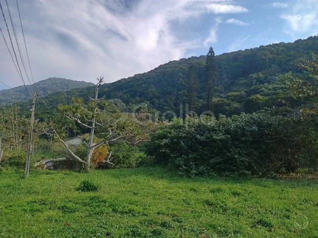 Terreno / Lote para Venda em Florianópolis/SC Praia Brava