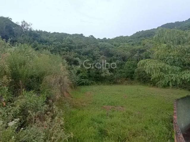 Terreno / Lote para Venda em Florianópolis/SC Praia Brava