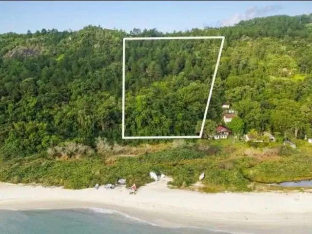 Terreno / Lote para Venda em Florianópolis/SC Praia do Forte