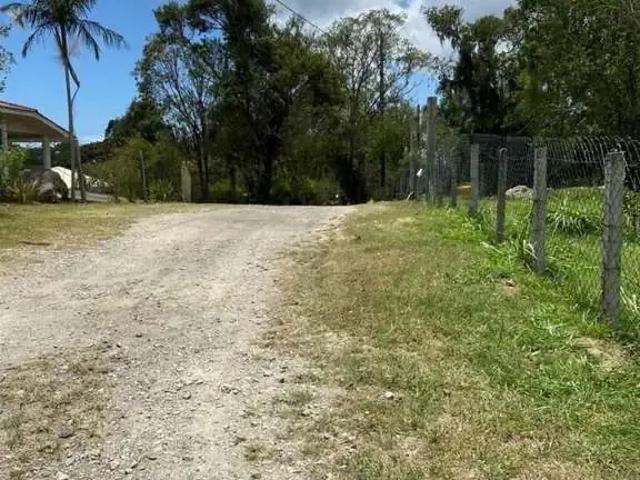 Terreno / Lote para Venda em Florianópolis/SC Ratones