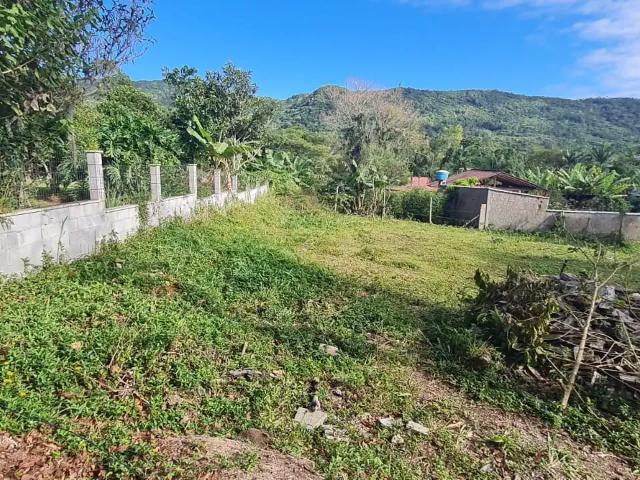 Terreno / Lote para Venda em Florianópolis/SC Ratones