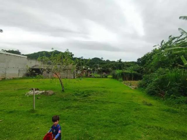 Terreno / Lote para Venda em Florianópolis/SC Ratones