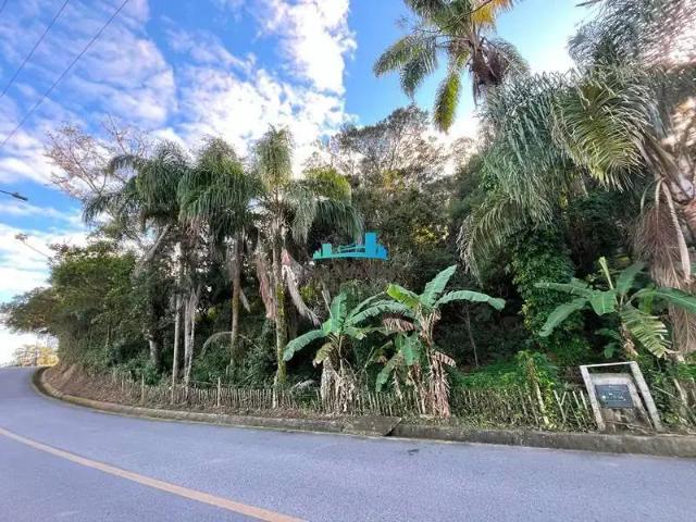 Terreno / Lote para Venda em Florianópolis/SC Ratones