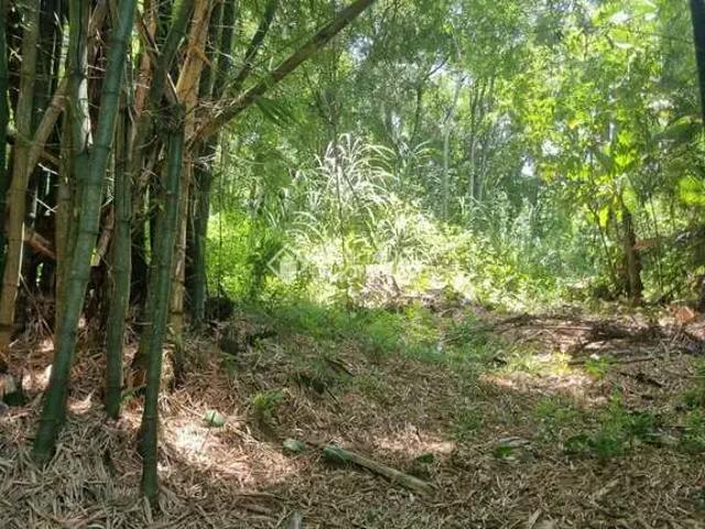Terreno / Lote para Venda em Florianópolis/SC Ratones
