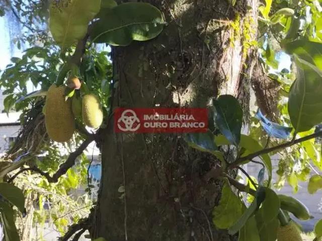 Terreno / Lote para Venda em Florianópolis/SC Ratones