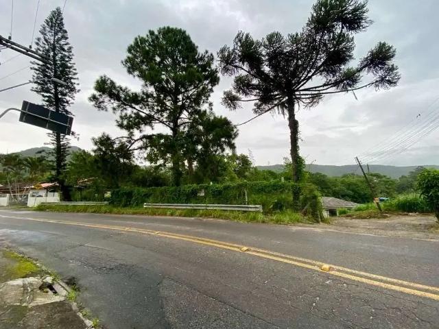 Terreno / Lote para Venda em Florianópolis/SC Ratones
