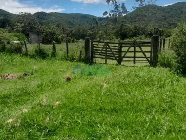 Terreno / Lote para Venda em Florianópolis/SC Ratones