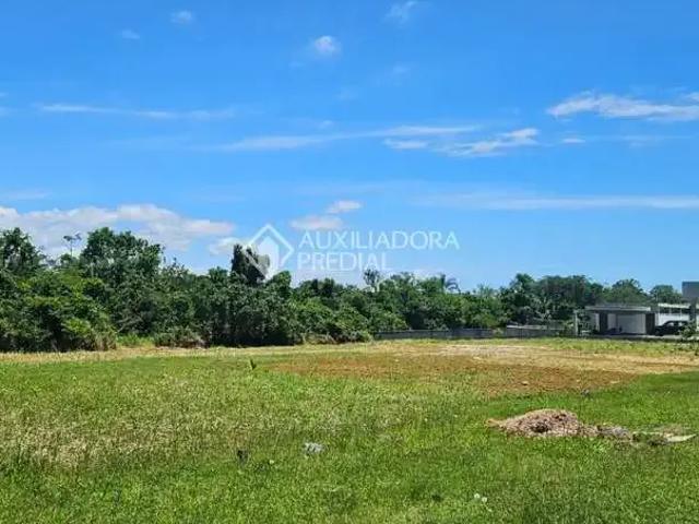 Terreno / Lote para Venda em Florianópolis/SC Ratones