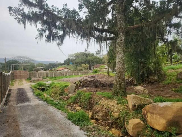 Terreno / Lote para Venda em Florianópolis/SC Ratones