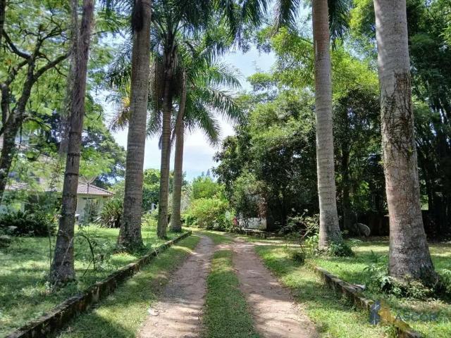 Terreno / Lote para Venda em Florianópolis/SC Ratones 3 Quartos